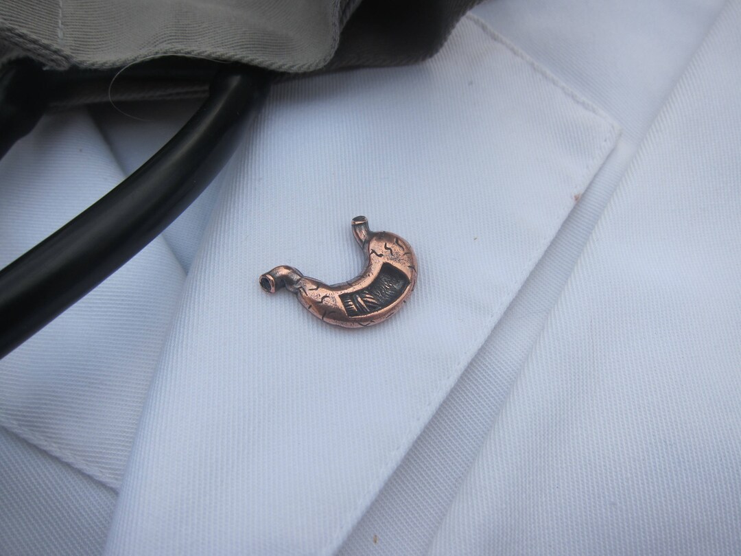 Copper Stomach Lapel Pin- CC619C- Medical and Anatomy Pins- Digestion ...