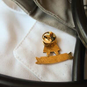 Sepsis Hero Gold Dipped Pewter Lapel Pin- CC677G- Recognizing the ...