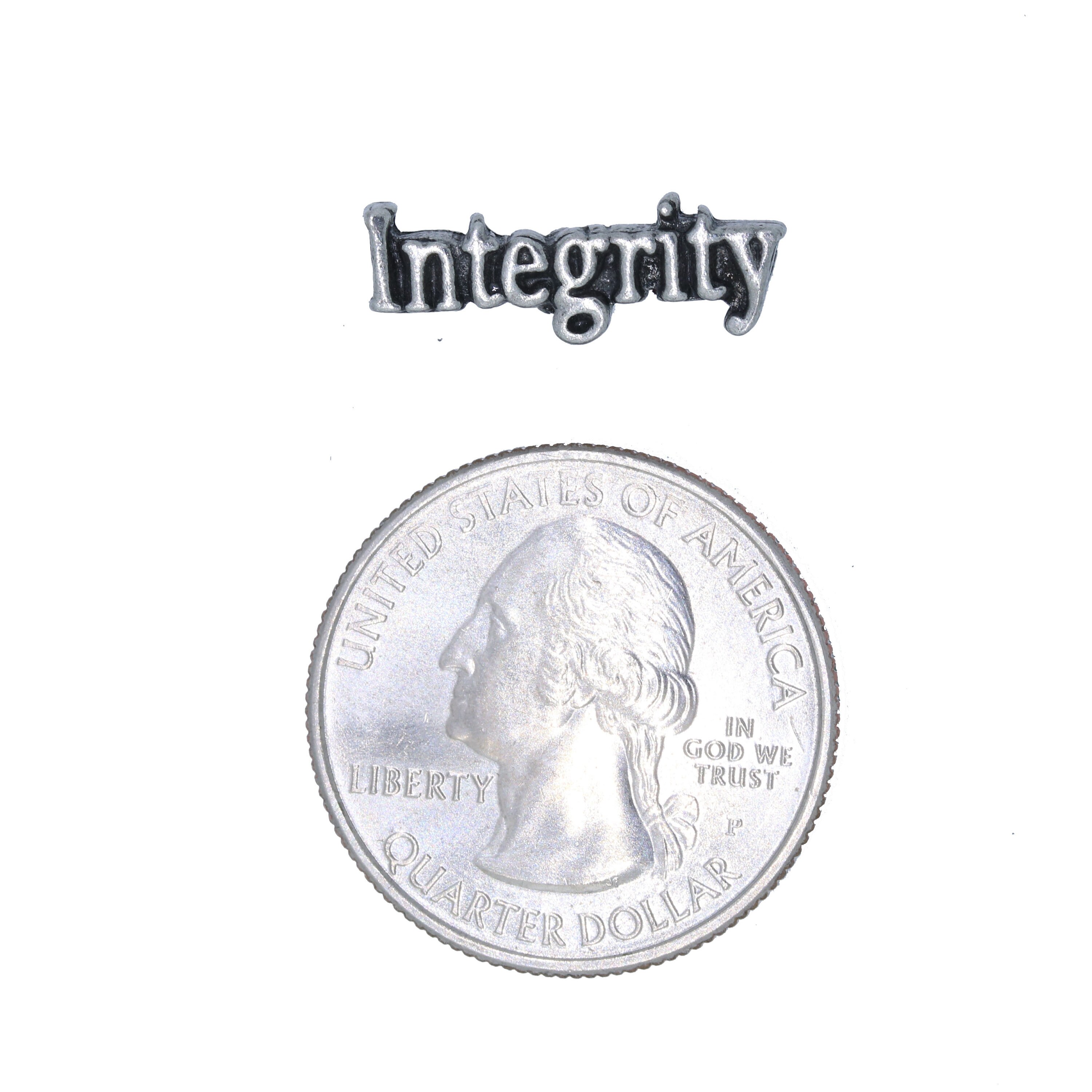 Integrity Lapel Pin - CC404- Employee and Student Recognition Pins - Etsy