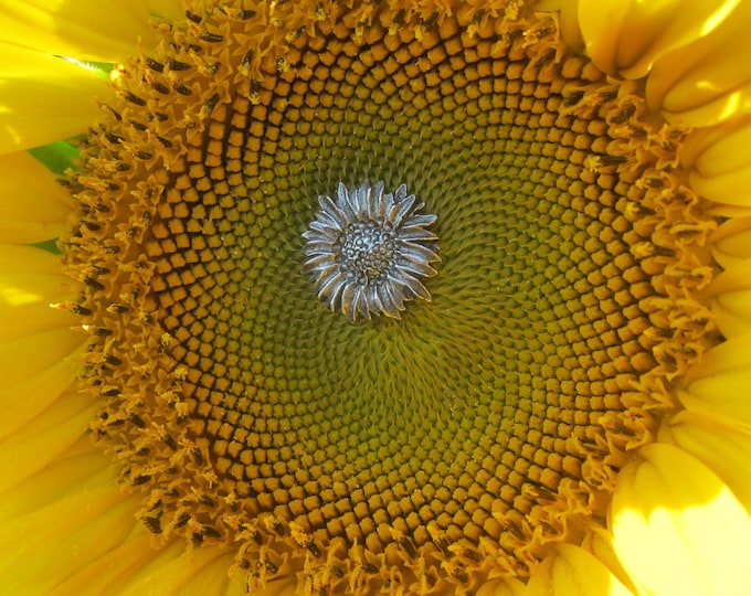 Gold Sunflower Lapel Pin CC271G Sunflower Garden and - Etsy