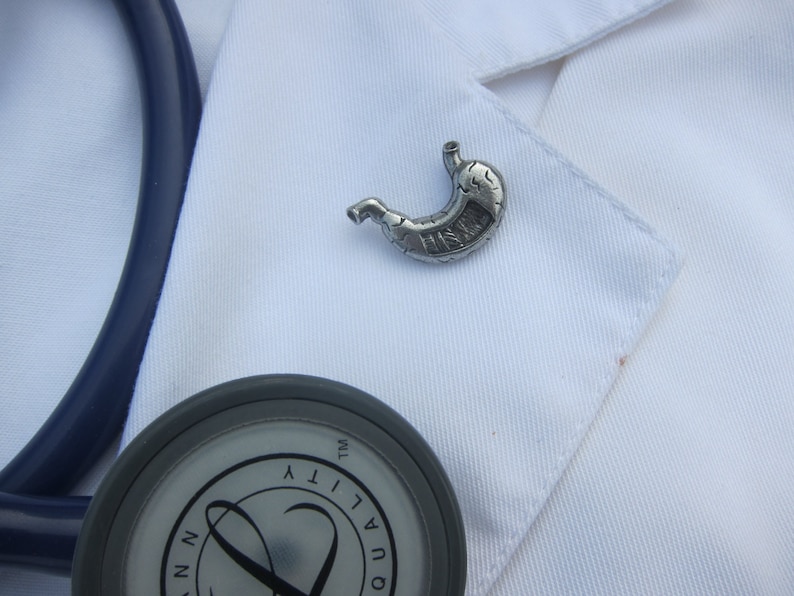 Stomach Lapel Pin CC619 Medical and Anatomy Pins Digestion | Etsy