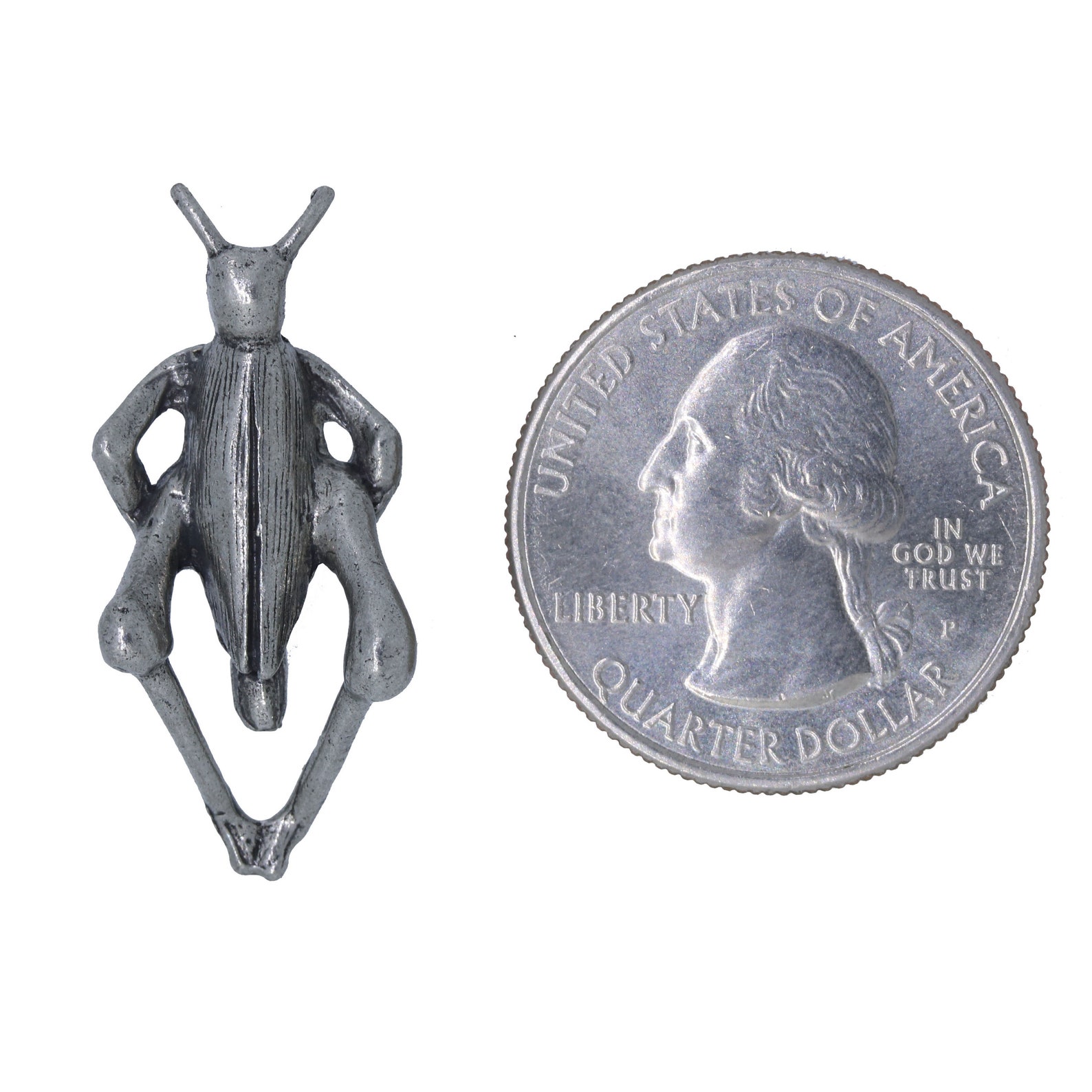 Grasshopper Lapel Pin CC345 Insect Bug Cricket and Locust | Etsy