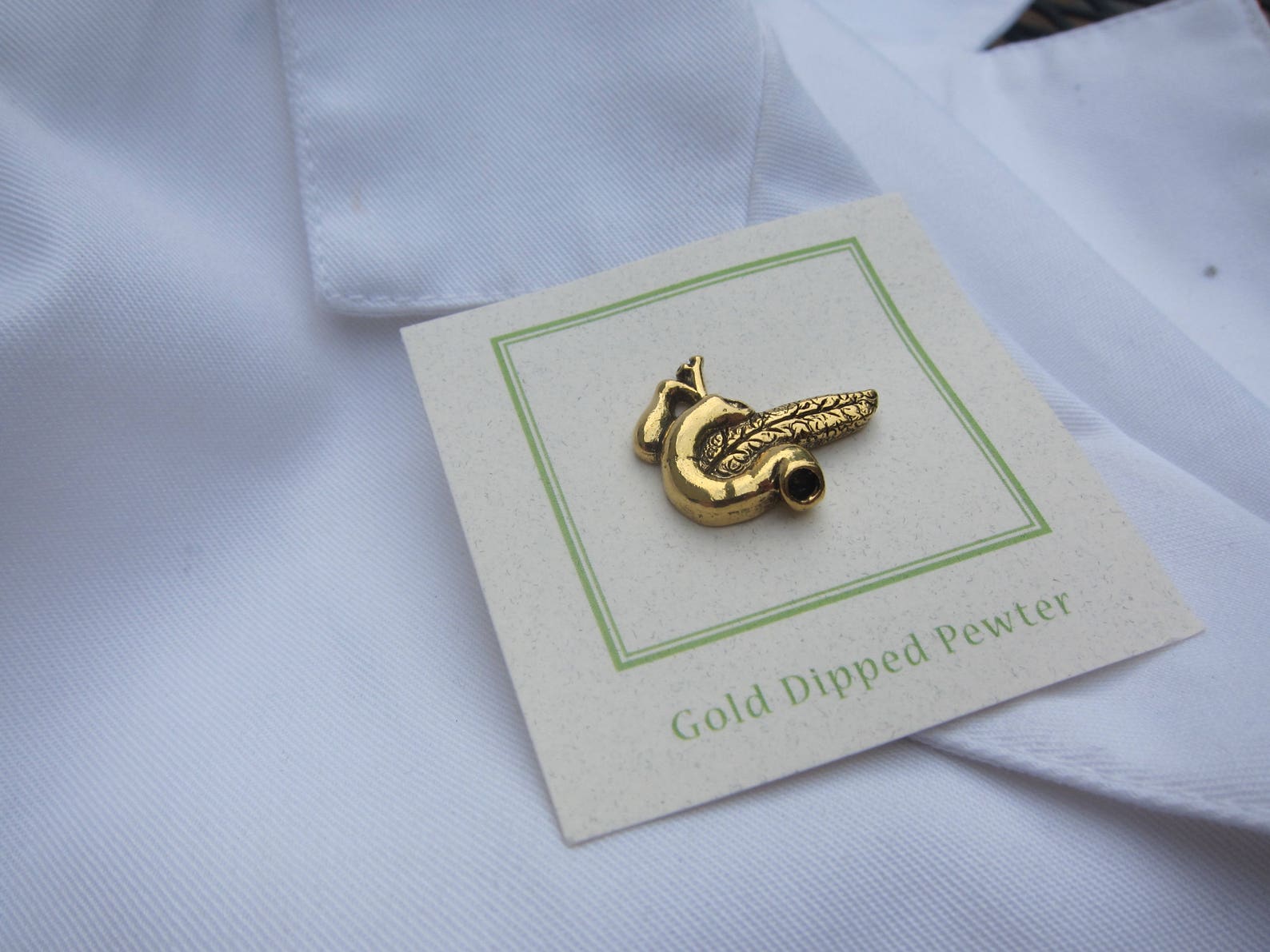 Gold Pancreas Lapel Pin CC620G Medical and Anatomy Pins for - Etsy