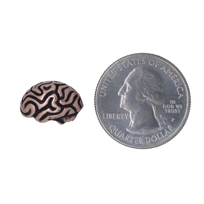 Copper Brain Lapel Pin CC157C Neurology and Medical Pins for - Etsy