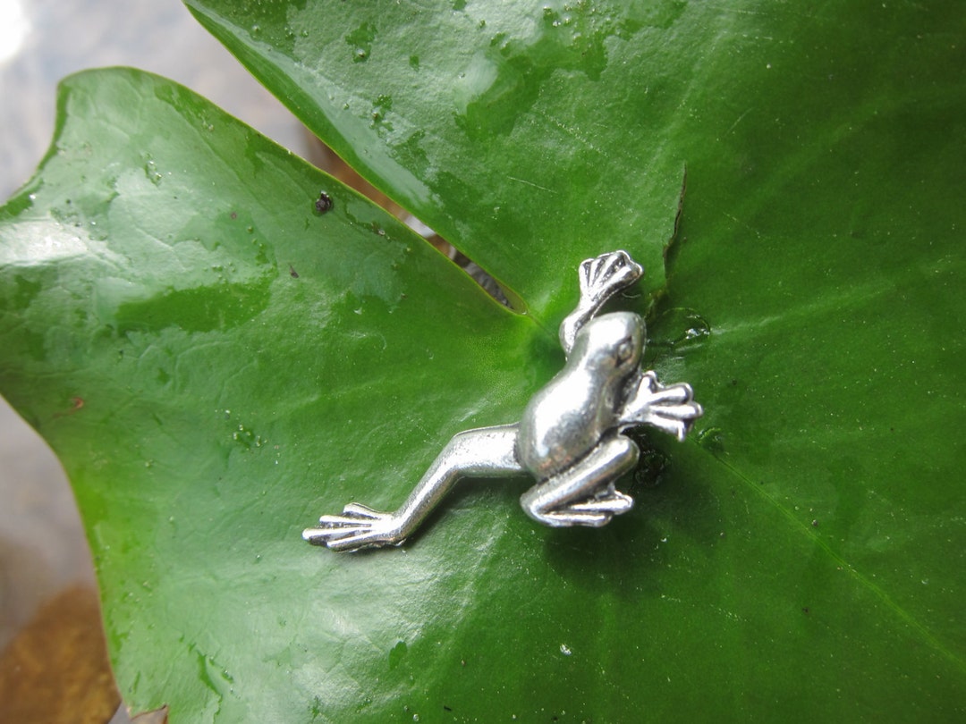 Frog Lapel Pin-cc169, Amphibean, Rainforest, Toad, Tadpole, and ...