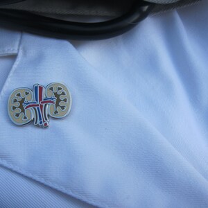 Kidney Enamel Lapel Pin- EP109- Kidneys, Urinary Tract, Renal Failure ...