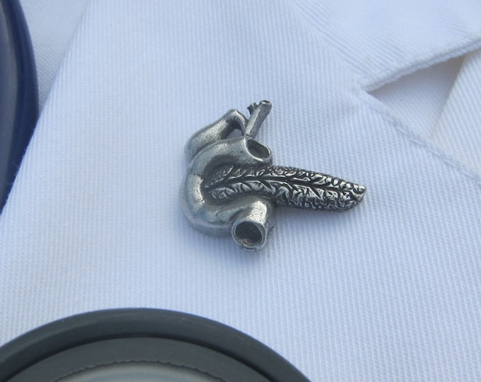 Gold Pancreas Lapel Pin CC620G Medical and Anatomy Pins for - Etsy