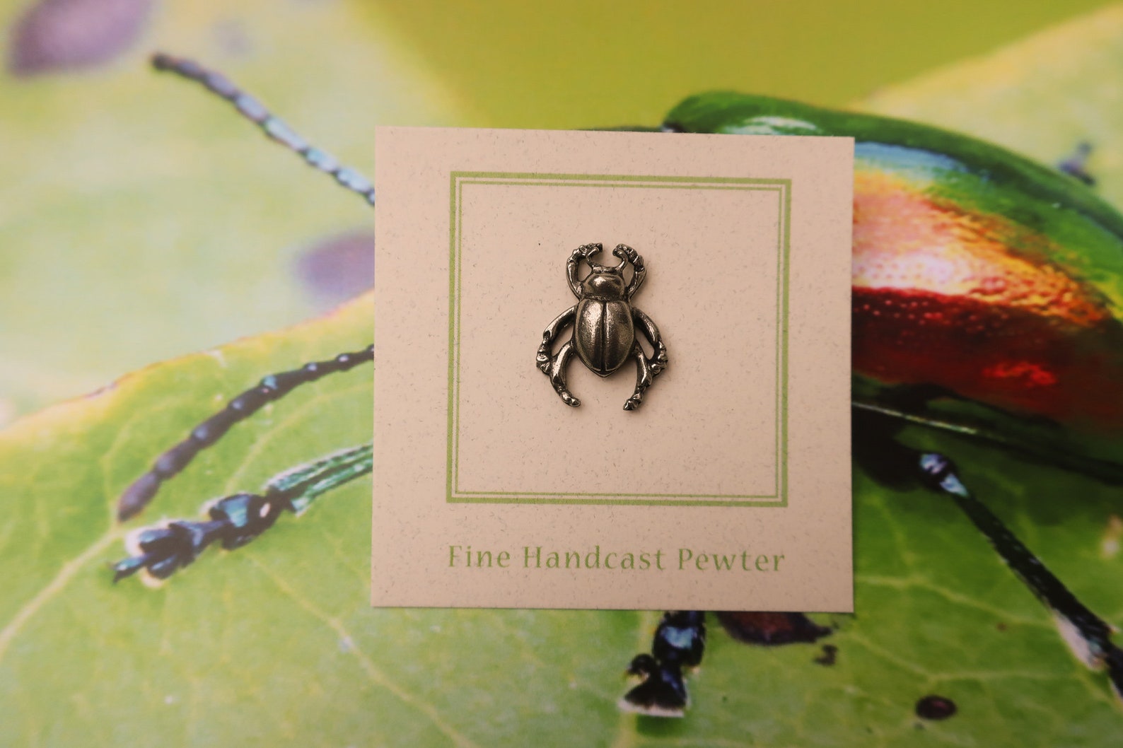 Beetle Lapel Pin CC280 Insect and Bug Pins | Etsy