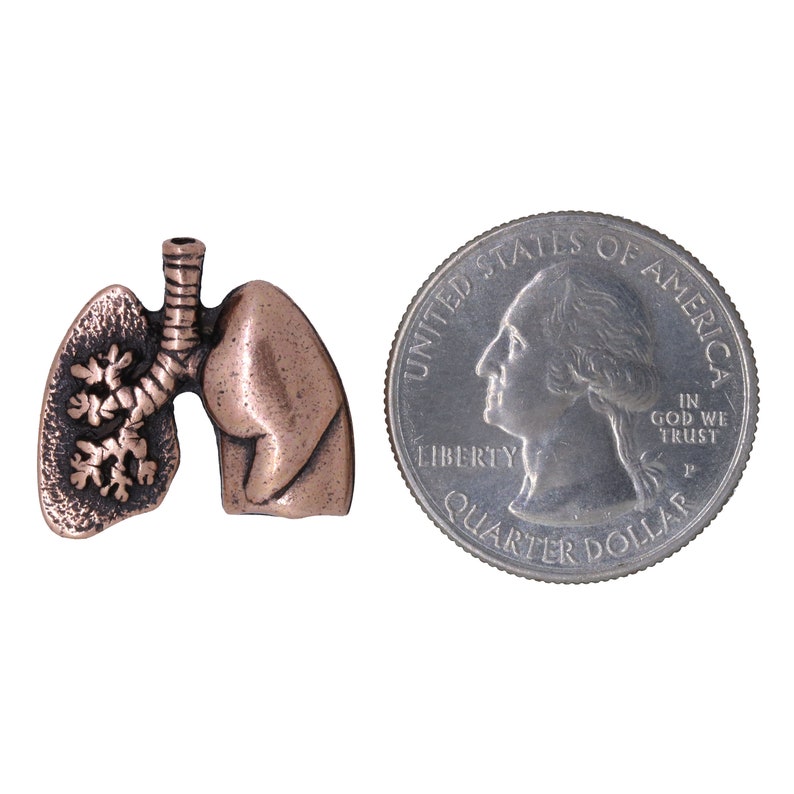Copper Lung Lapel Pin-cc390c Medical and Anatomy Respiratory | Etsy