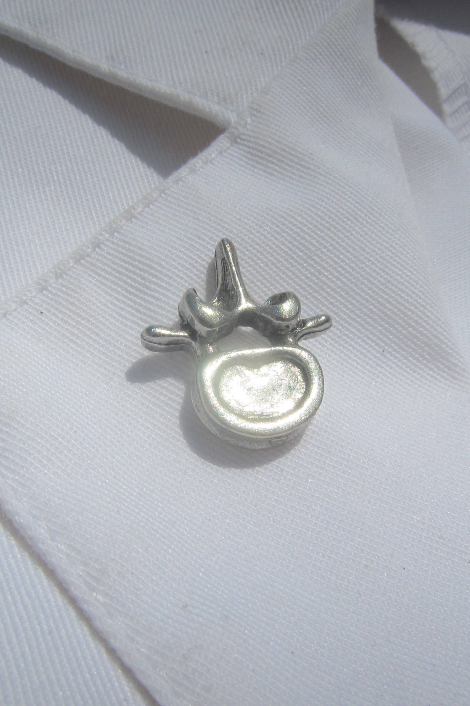 Vertebra Pewter Lapel Pin- CC594- Chiropractor and Anatomy Pins- Spine ...