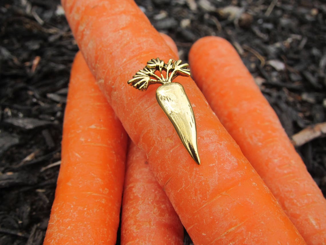 Gold Carrot Lapel Pin-cc312g Vegetable and Veggie Pins in the - Etsy
