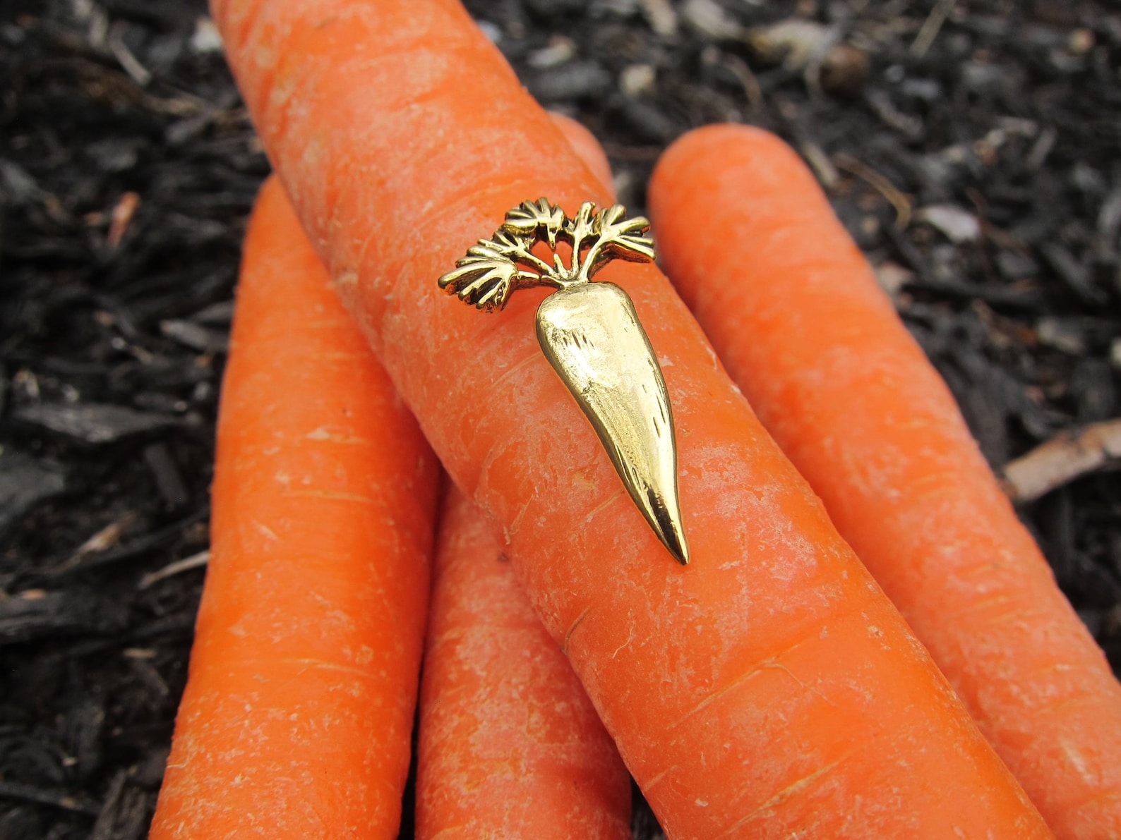 Gold Carrot Lapel Pin-cc312g Vegetable and Veggie Pins in the - Etsy