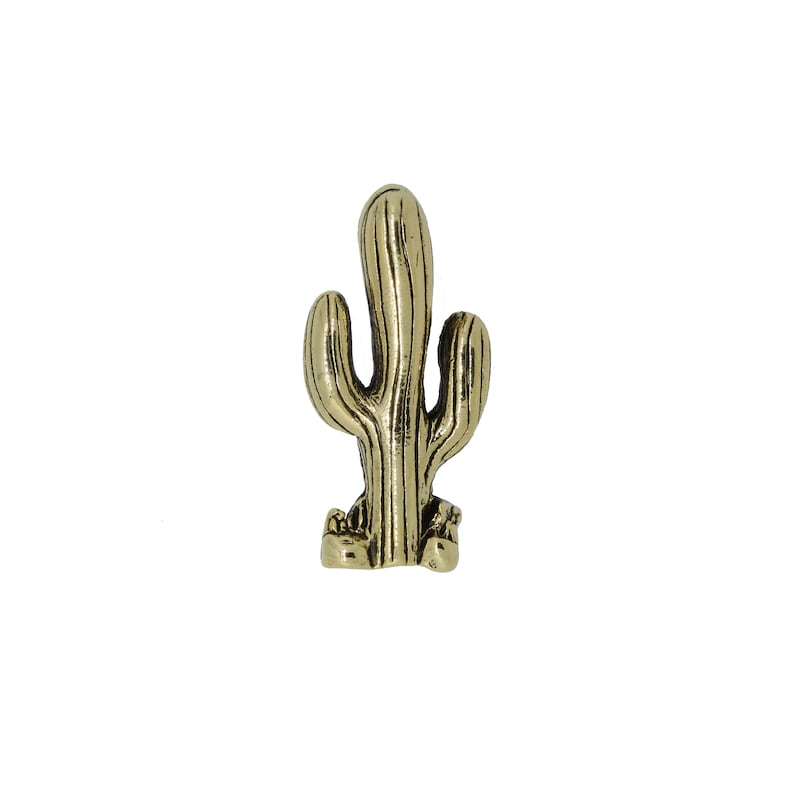 Gold Cactus Lapel Pin-cc488g Arizona Desert and Cactus Pins - Etsy