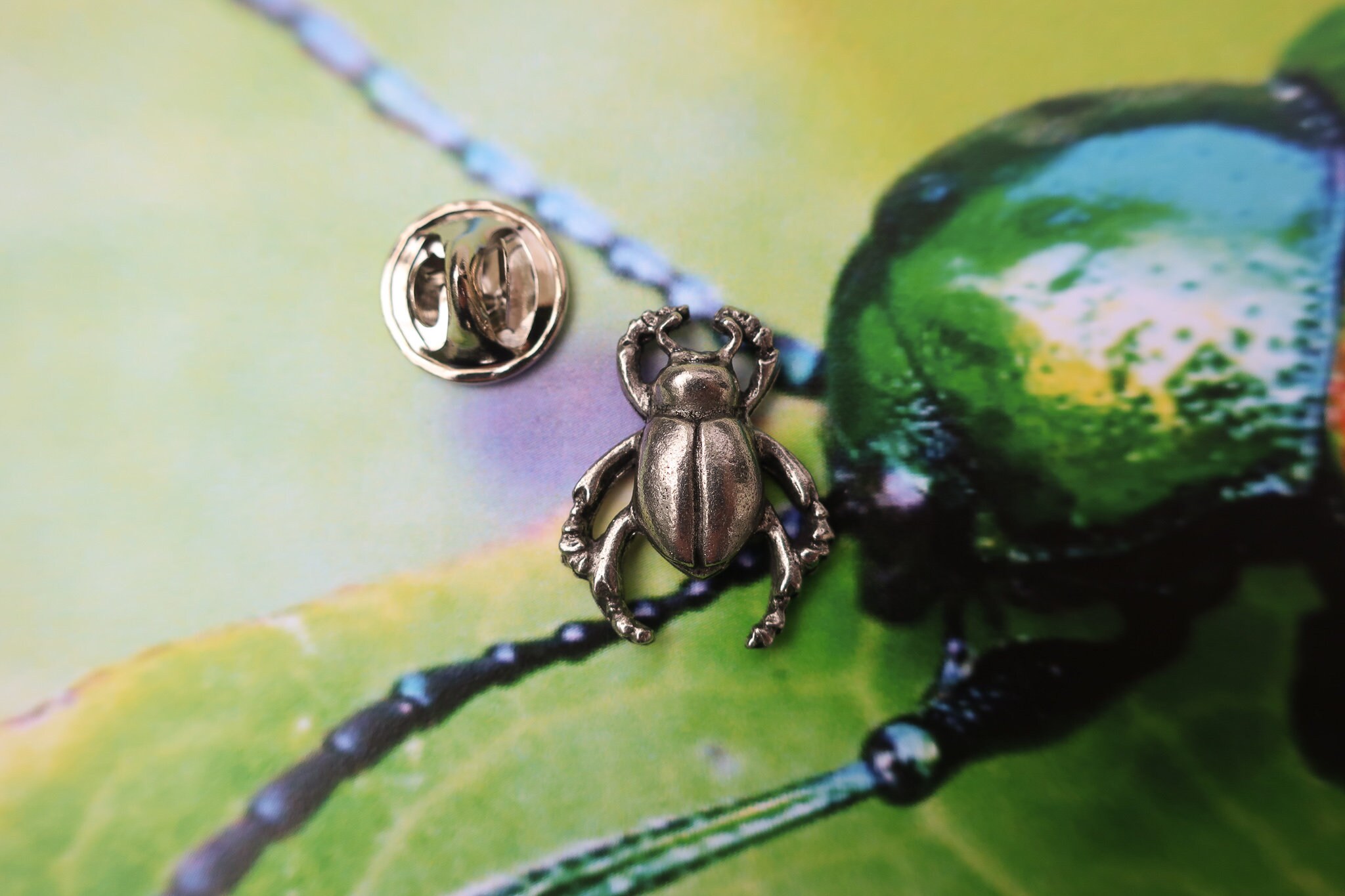Beetle Lapel Pin CC280 Insect and Bug Pins - Etsy