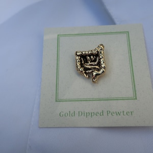 Gold Intestine Lapel Pin- CC346G- Gastrointestinal Pins, Anatomy Pins ...