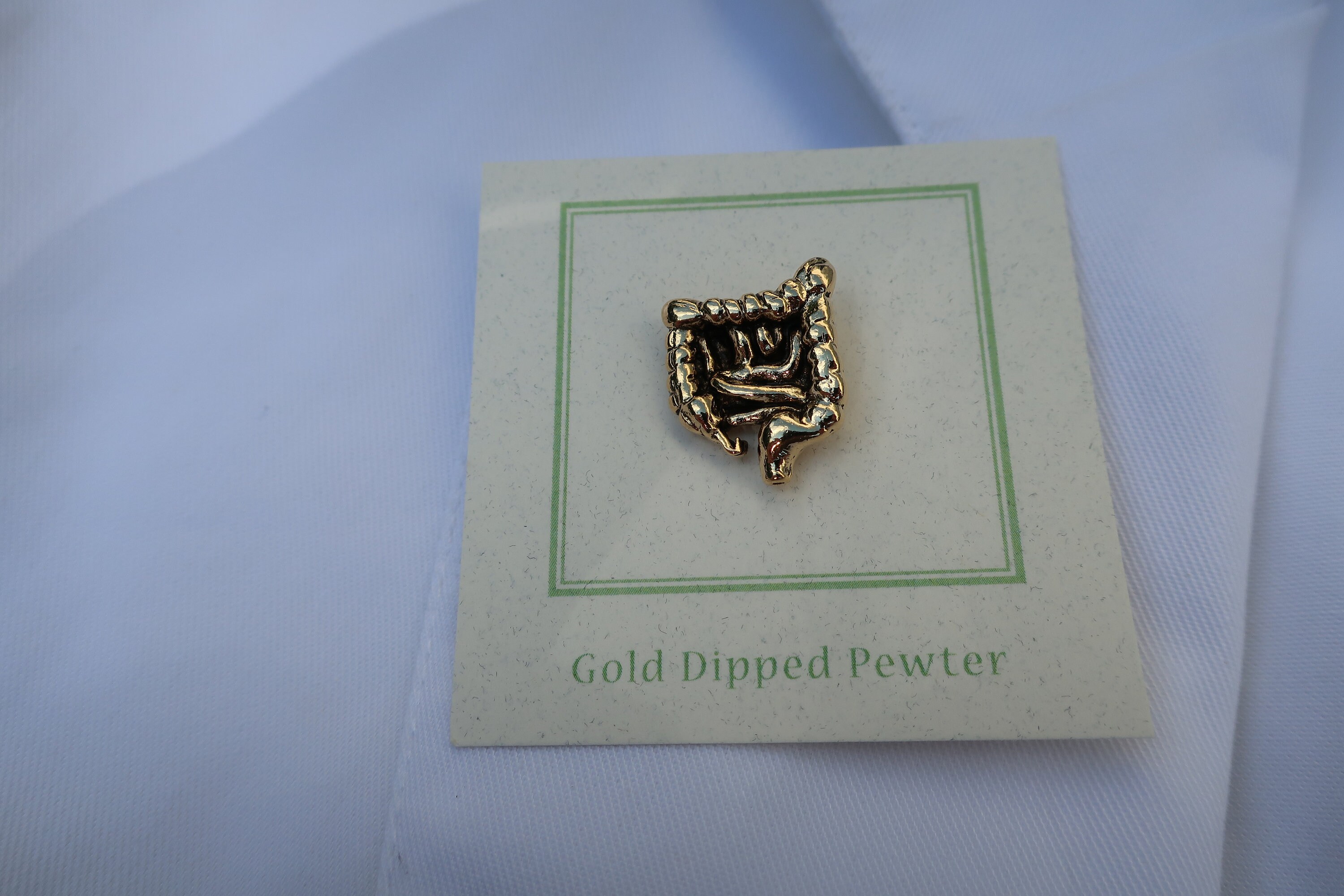 Gold Intestine Lapel Pin- CC346G- Gastrointestinal Pins, Anatomy Pins ...