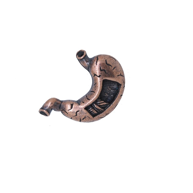 Copper Stomach Lapel Pin- CC619C- Medical and Anatomy Pins- Digestion ...