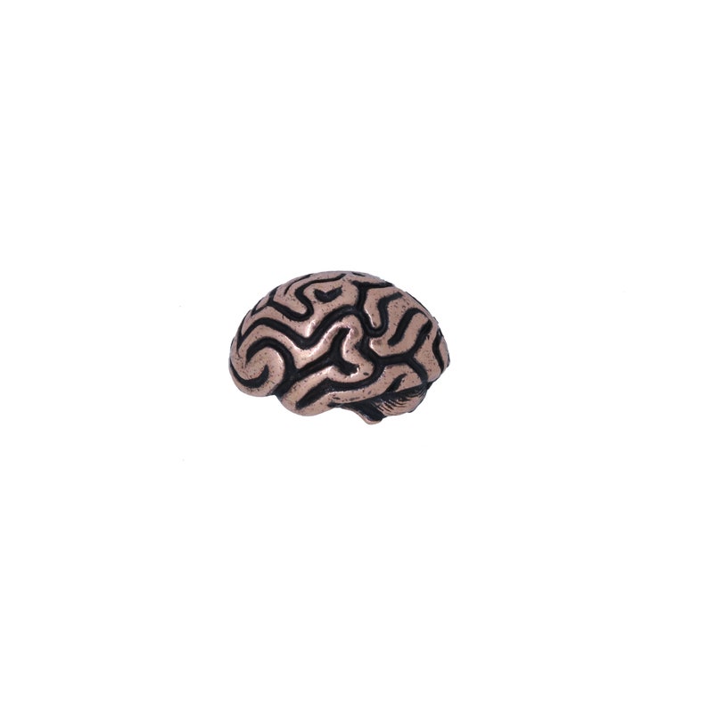 Copper Brain Lapel Pin CC157C Neurology and Medical Pins for | Etsy
