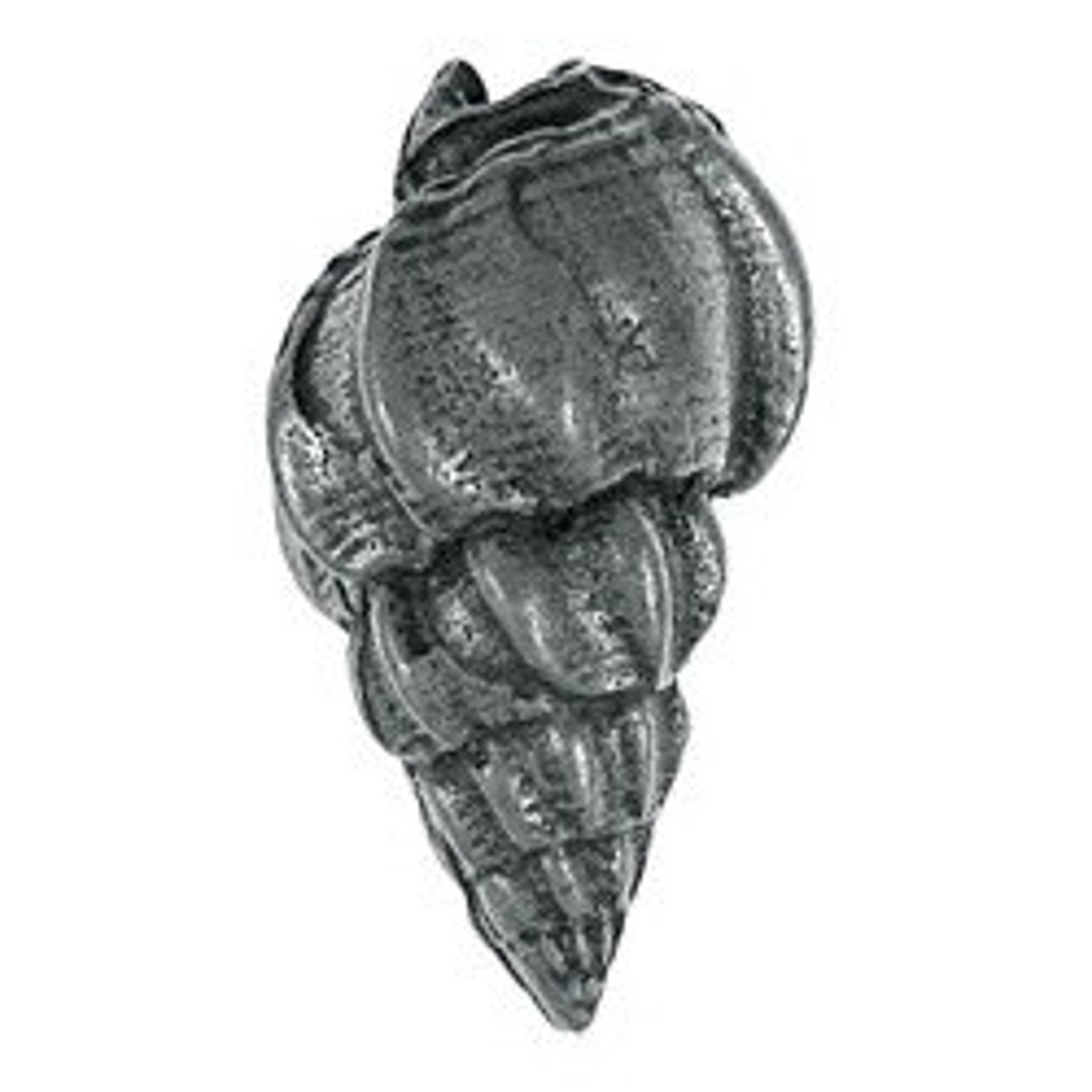 Seashell Lapel Pin CC344 Sea Ocean Beach Shells - Etsy