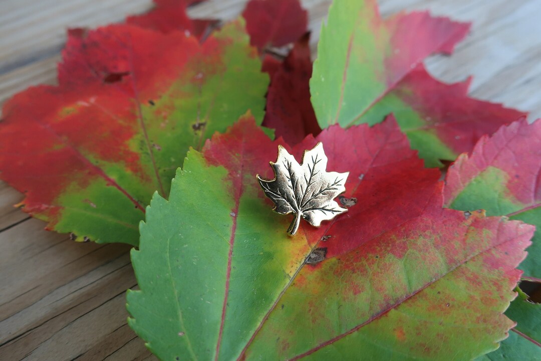 Maple Leaf Gold Lapel Pin- CC698G- Maple Tree, Maples, Canada, and ...