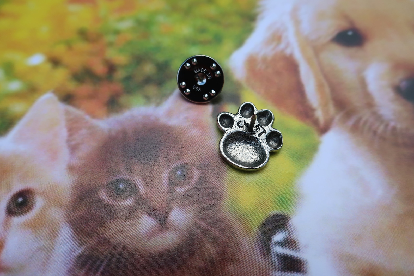 Paw Print Lapel Pin - CC269- Pins for Pet Lovers- Dog Paw Pin- Cat Paw ...