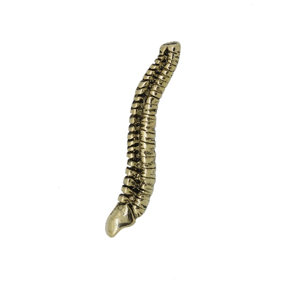Gold Spine Lapel Pin CC518G Chiropractor Medical and - Etsy