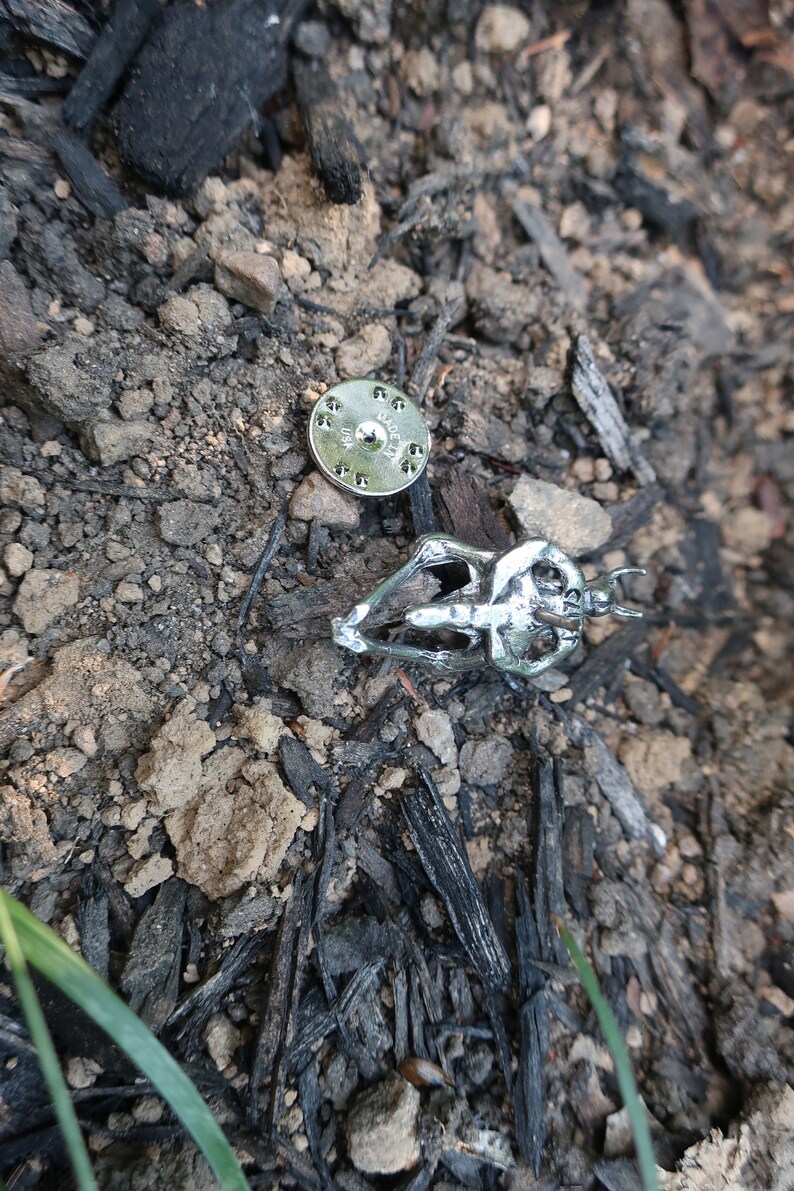 Grasshopper Lapel Pin CC345 Insect Bug Cricket and Locust - Etsy
