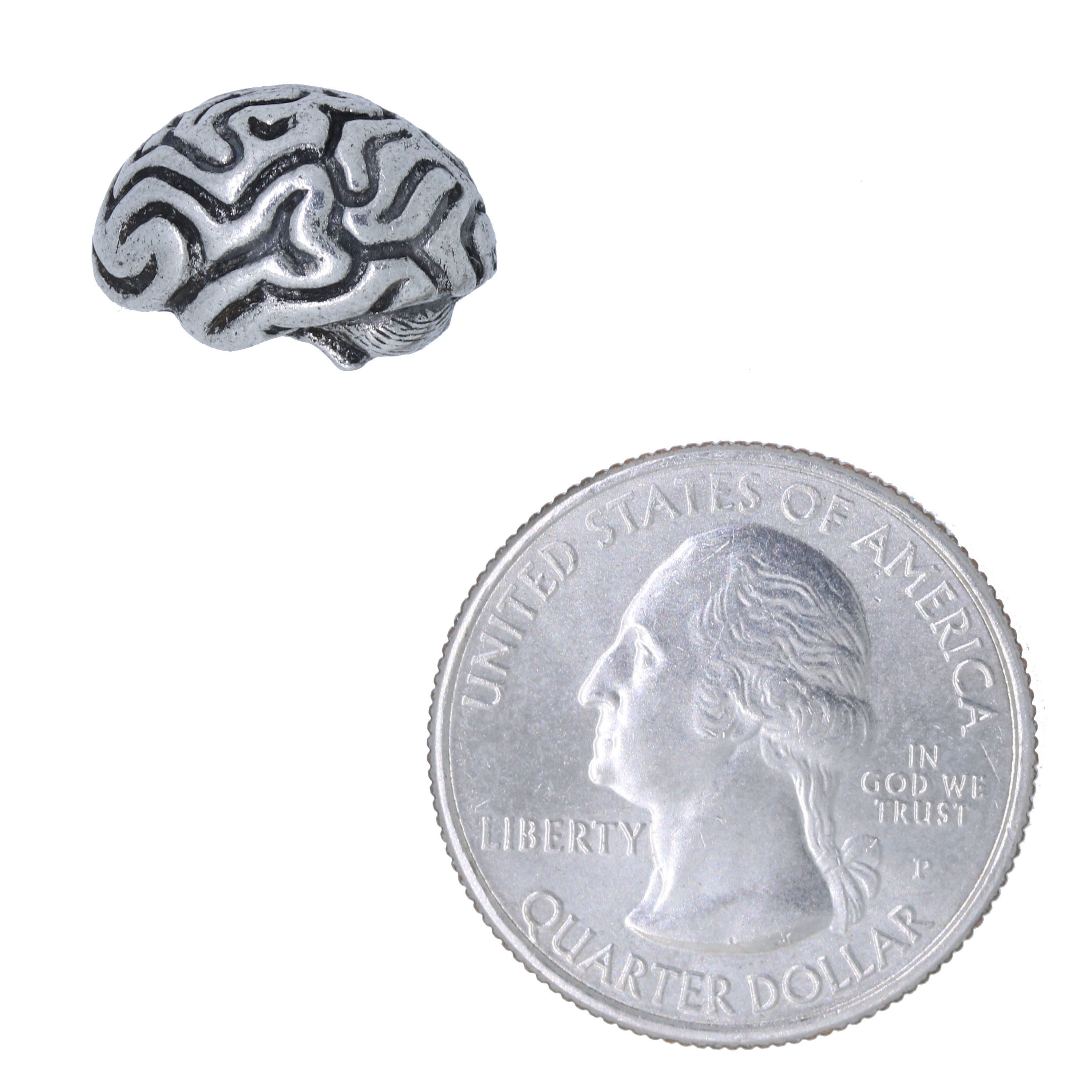 Brain Lapel Pins - CC157- Medical and Anatomy, Neurology Pins for ...