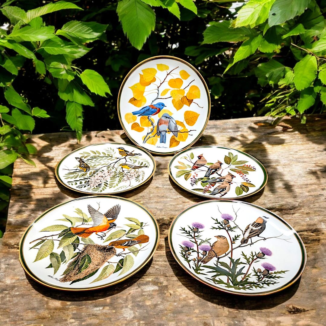 Set of 5 Songbirds of the World Decor Plates Franklin Bone China the ...