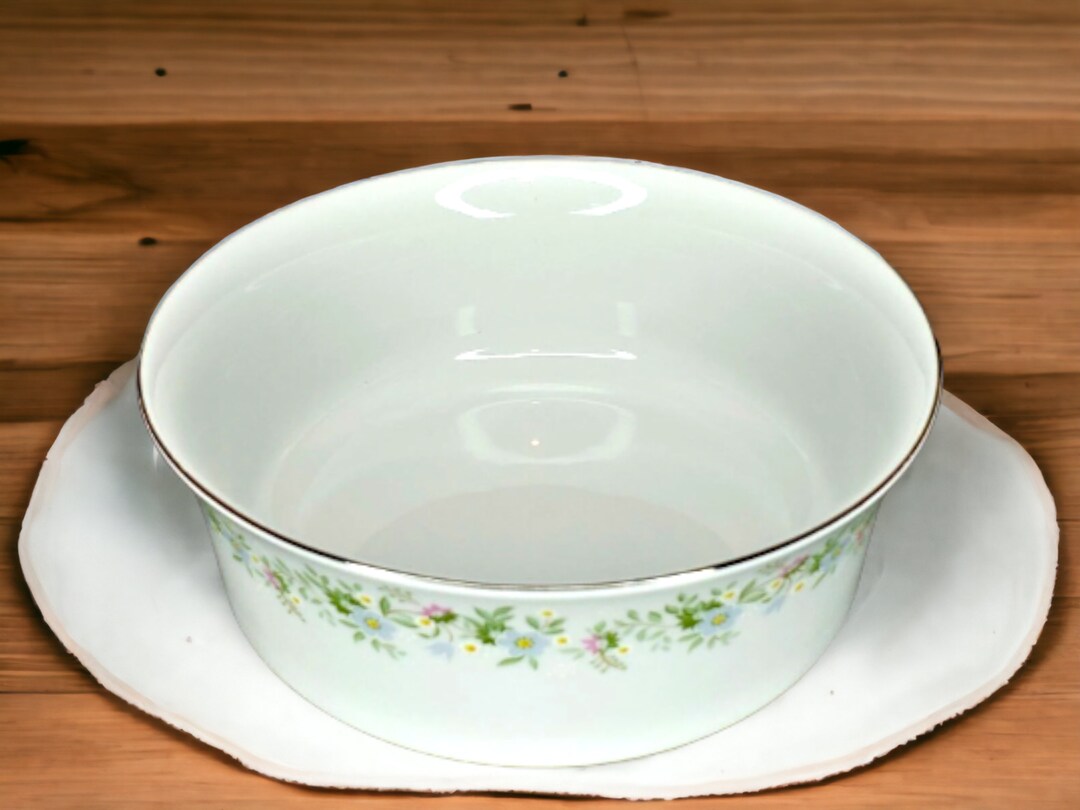 Johann Haviland Bavaria Germany China Forever Spring 7 3/8 Round ...