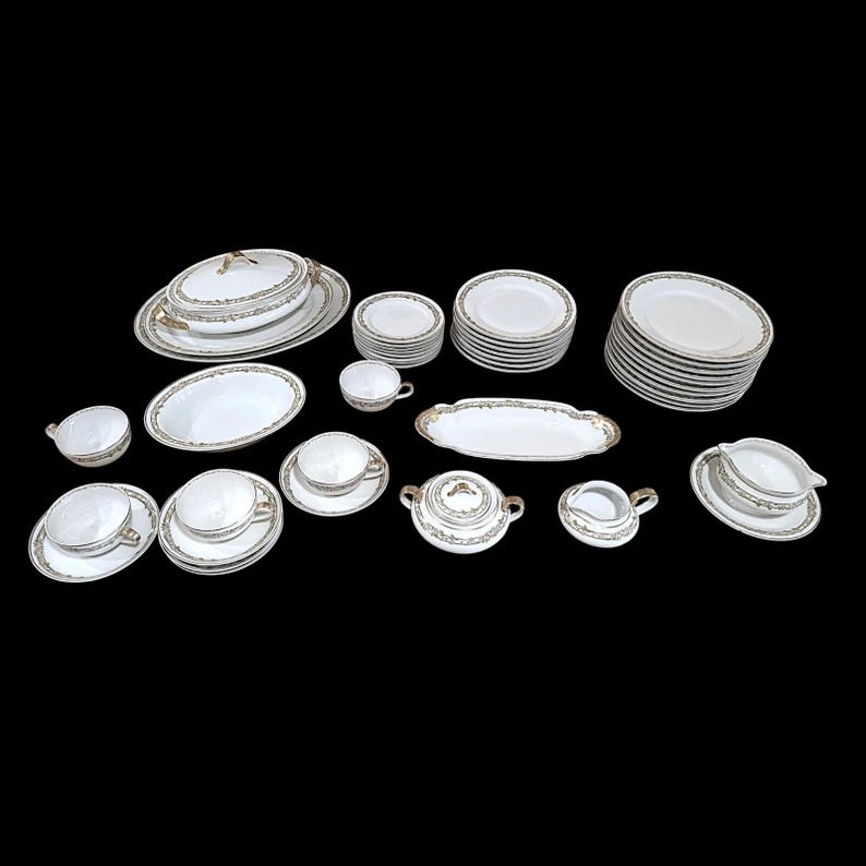Vintage Theodore Limoges Porcelain 45 Piece Dinnerware Set Wanamaker ...