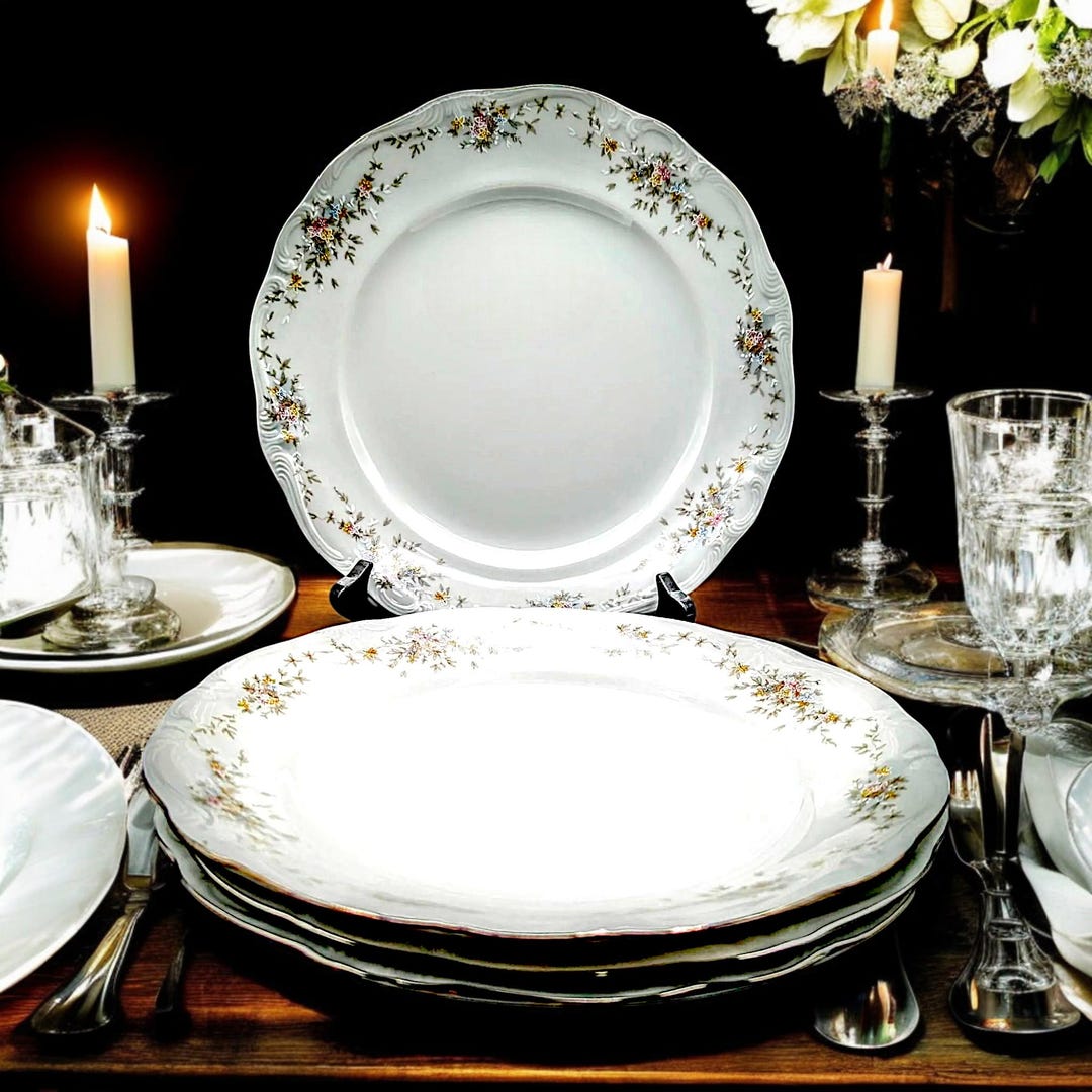 Vintage SET of 4 Johann Haviland Floral Splendor Dinner Plates 10 ...
