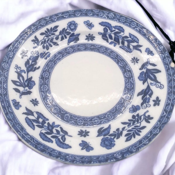 Antique Blue Plates - Etsy