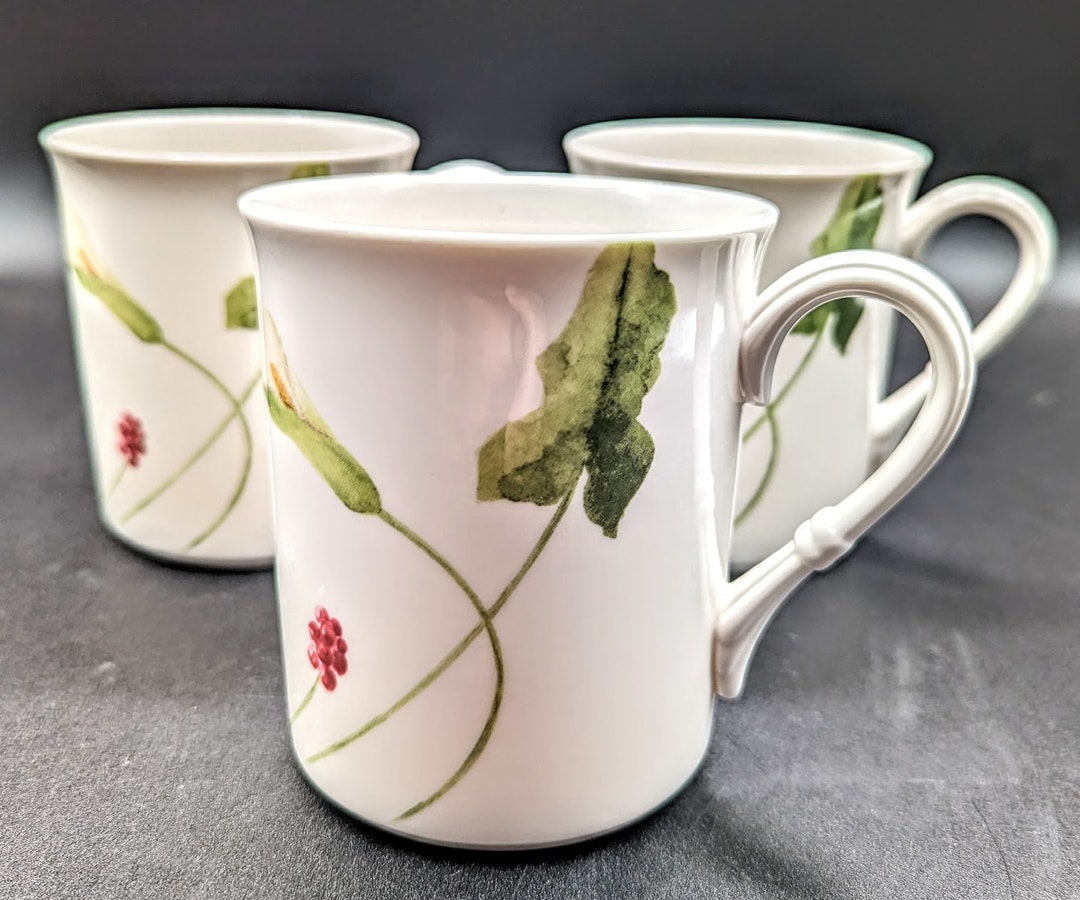 Mikasa Optima Super Strong Fine China CLASSIC CALLA Y4109 SET - Etsy