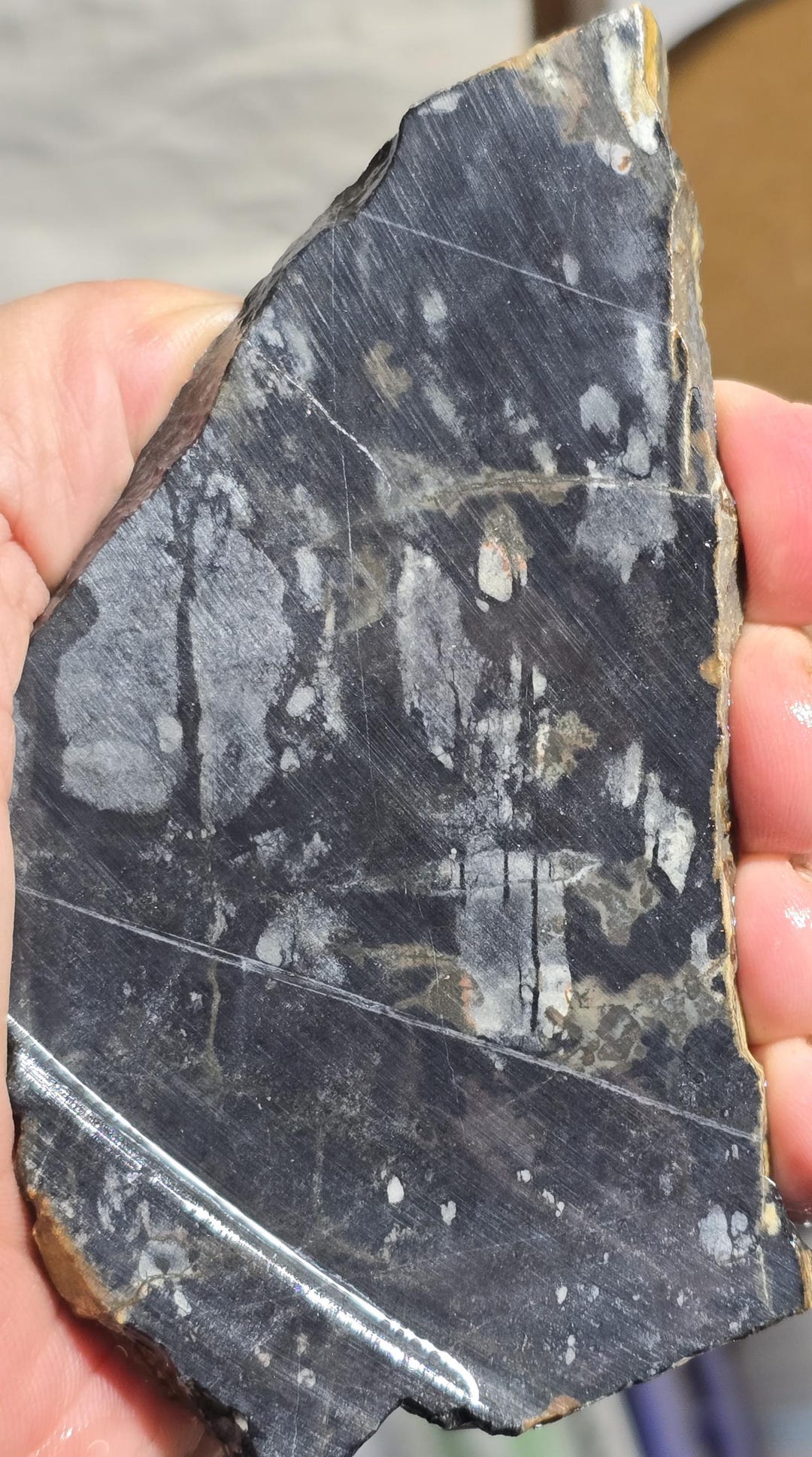 Picasso Marble From Utah Slab PMUS1D - Etsy