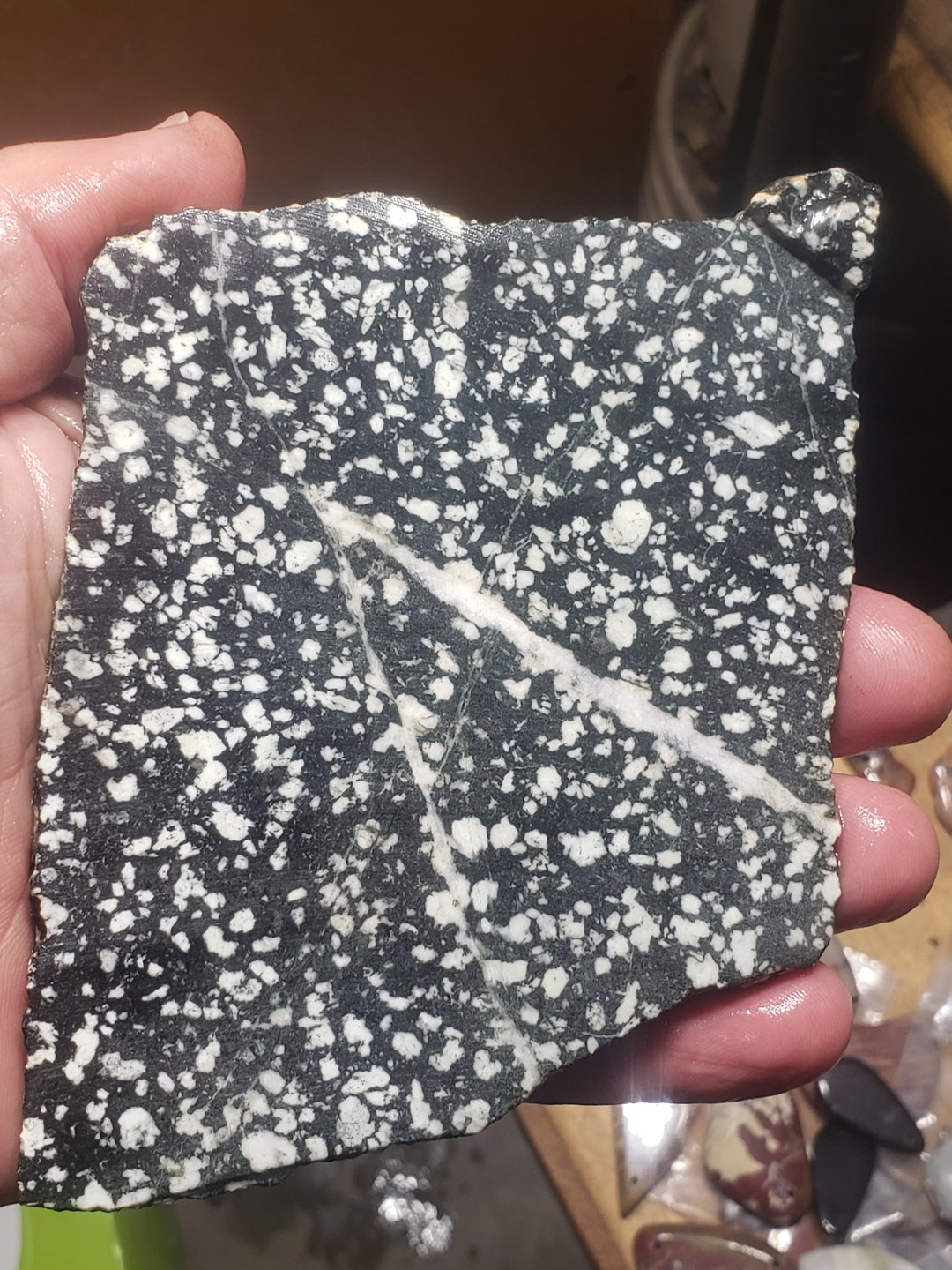 Sierra Snowflake Porphyry Slab SSPS2J - Etsy