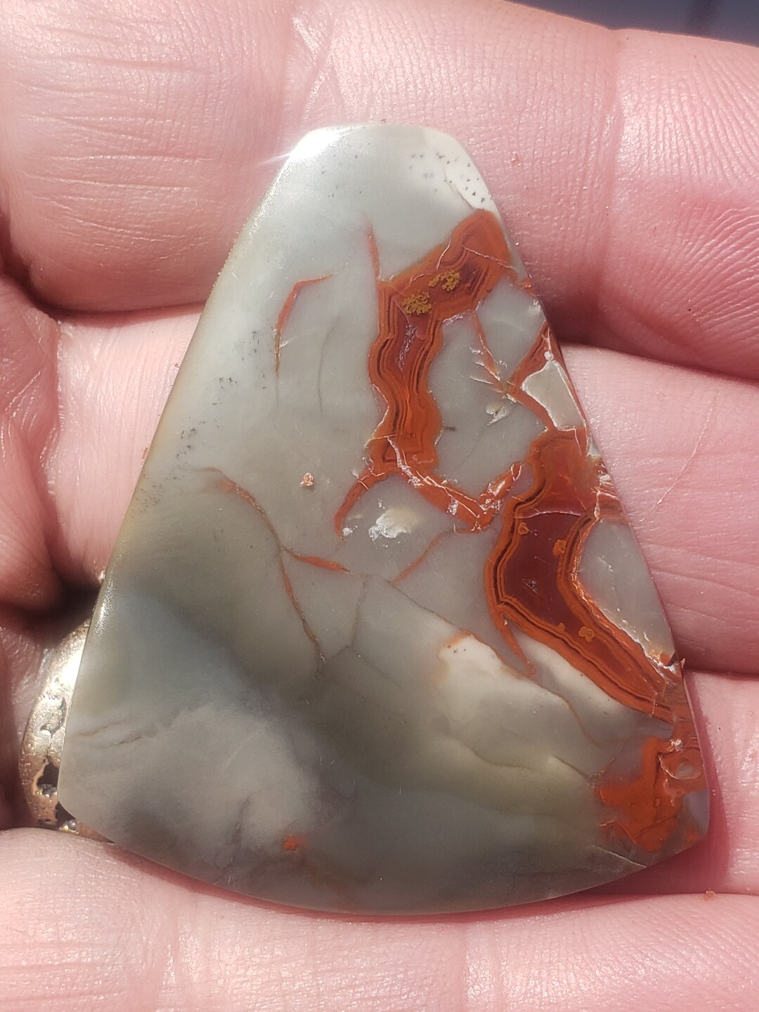 Coprolite agatisée Cabochon ACC1B - Etsy Canada