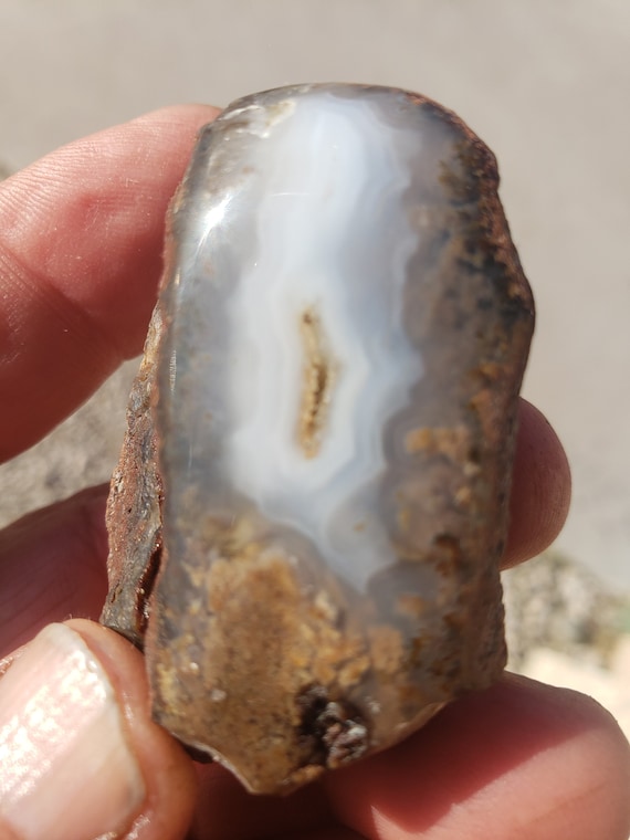 Agate Geode From Brady's Hot Springs Nevada Polished | Etsy