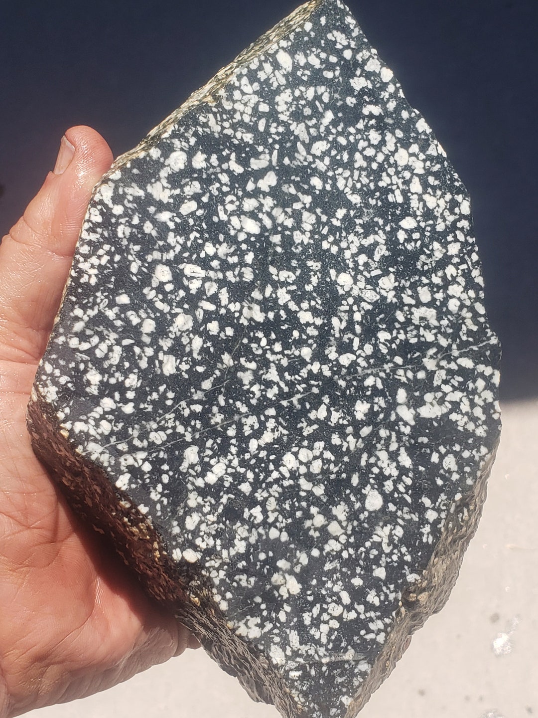 Sierra Snowflake Porphyry Rough SSPR1E - Etsy