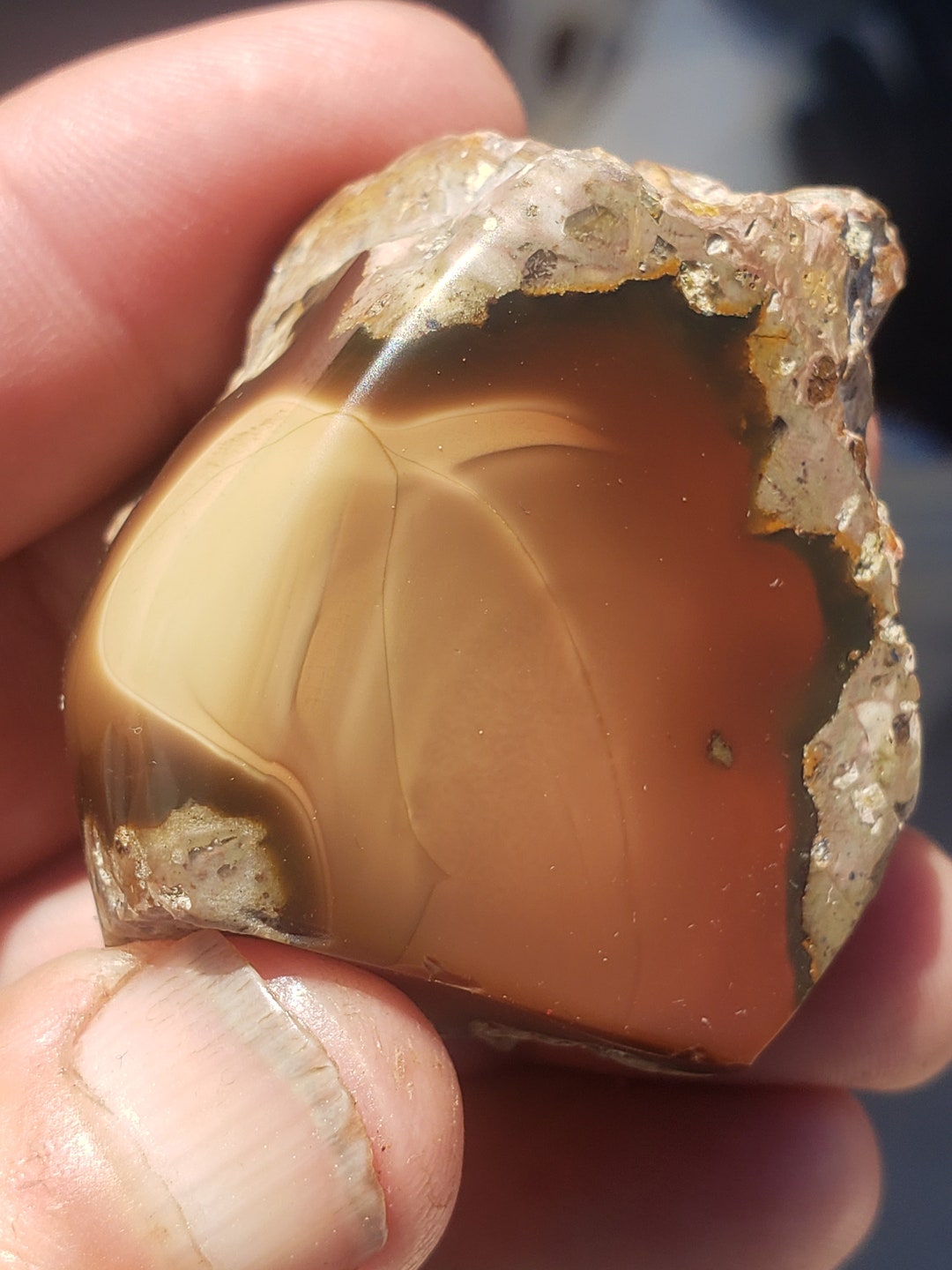 Bruneau Jasper Polished Specimen BJPS4B - Etsy