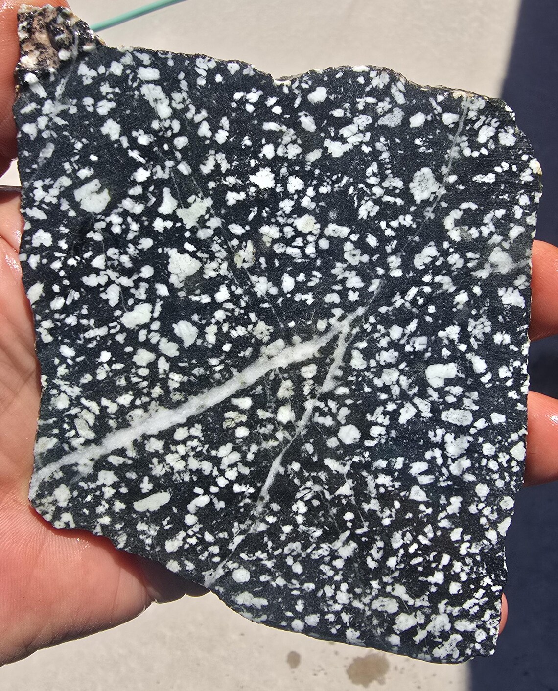 Sierra Snowflake Porphyry Slab SSPS1P - Etsy