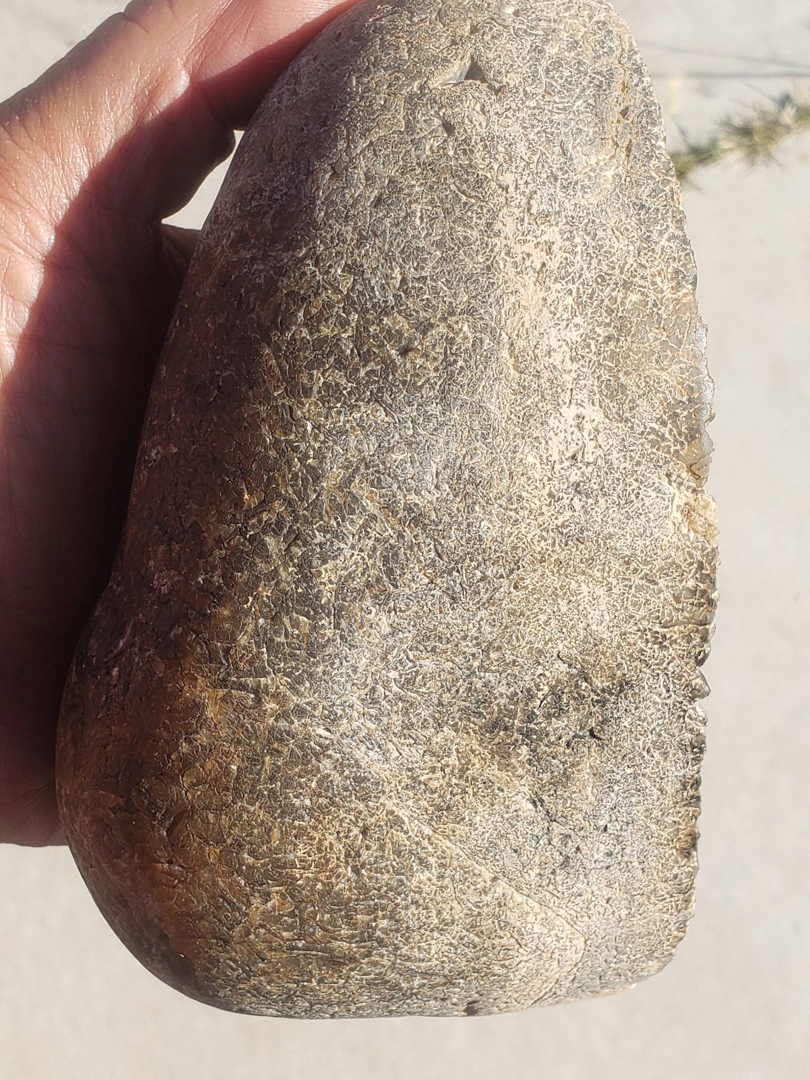 Montana Agate Polished Specimen MAPS4A - Etsy