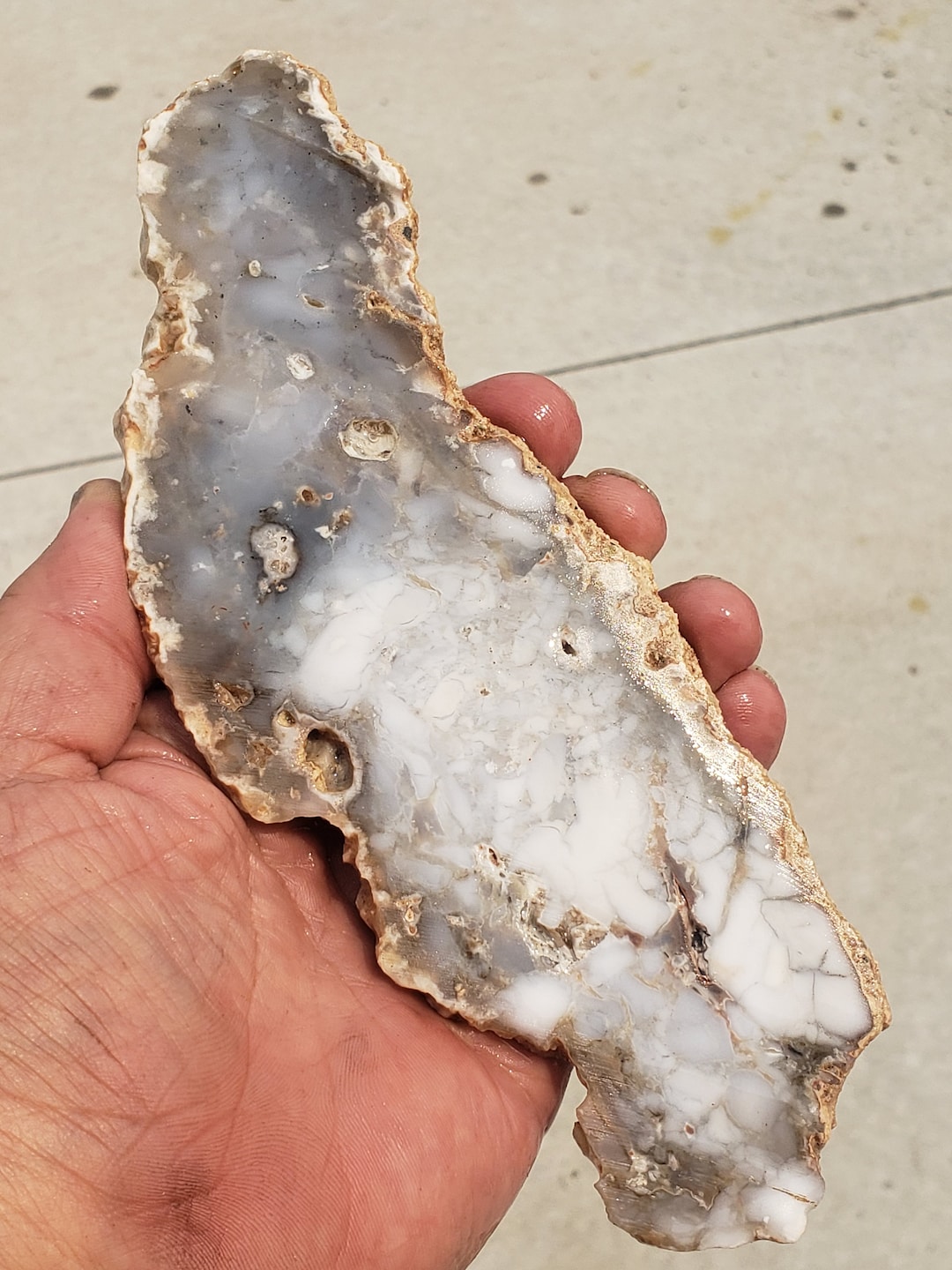 Agate Slab From Northern Nevada ASNN1A - Etsy