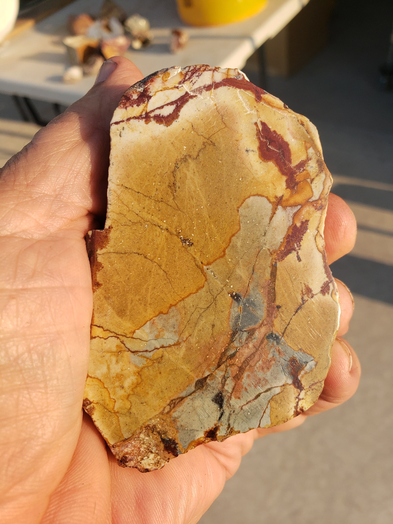 Desert Fire Jasper Polished Specimen DFJPS2 | Etsy