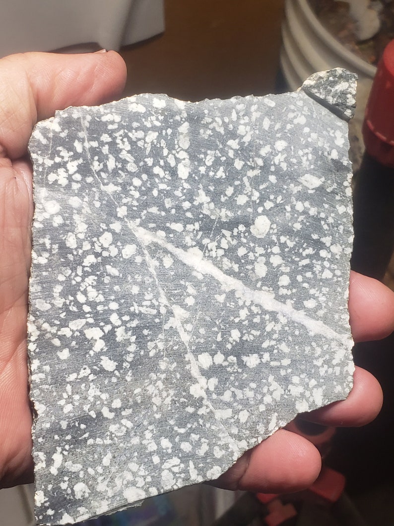 Sierra Snowflake Porphyry Slab SSPS2J - Etsy