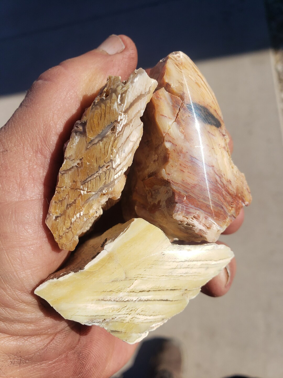 Howardite Polished Specimen HJPS1 - Etsy