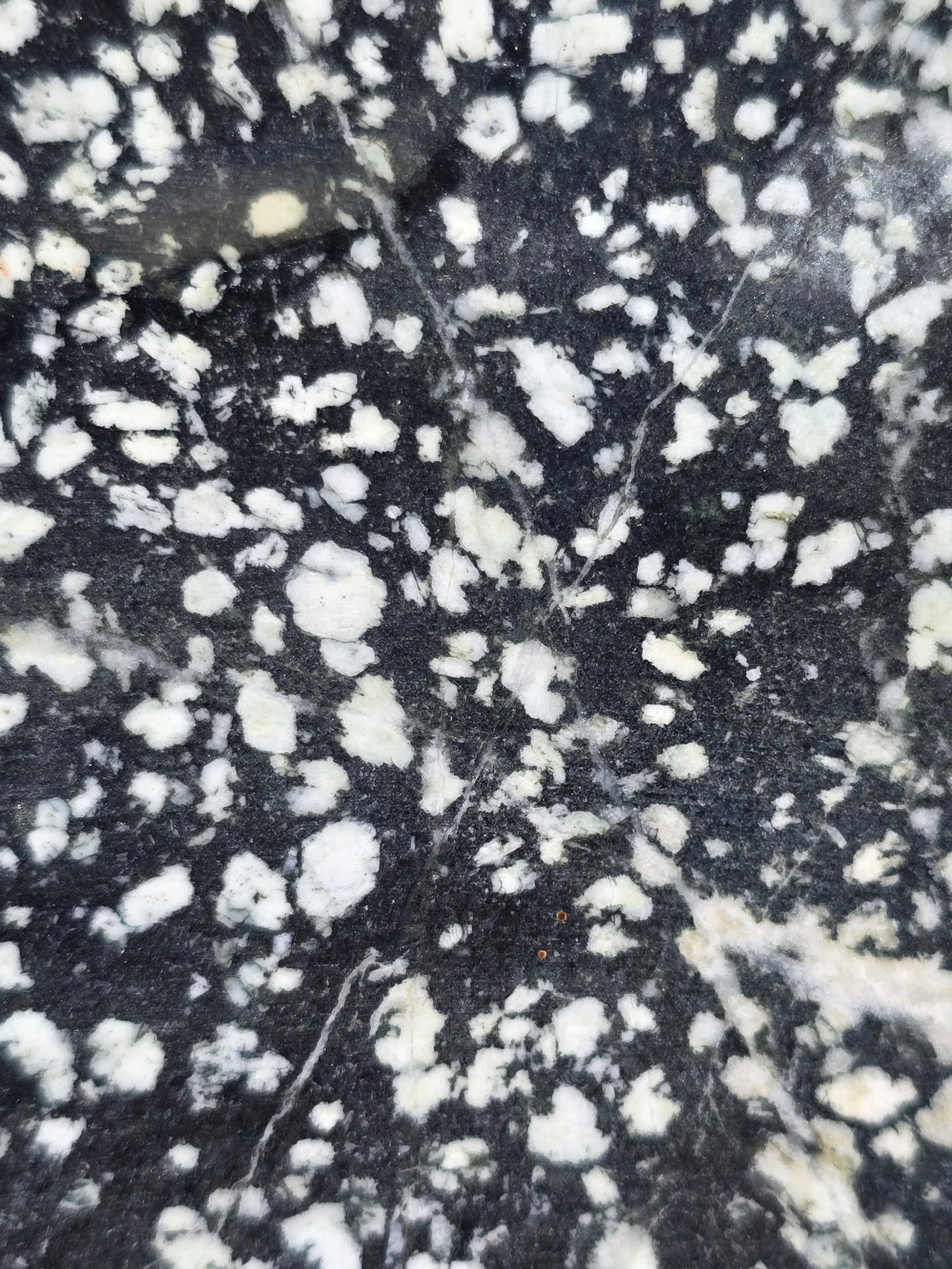 Sierra Snowflake Porphyry Slab SSPS1P - Etsy