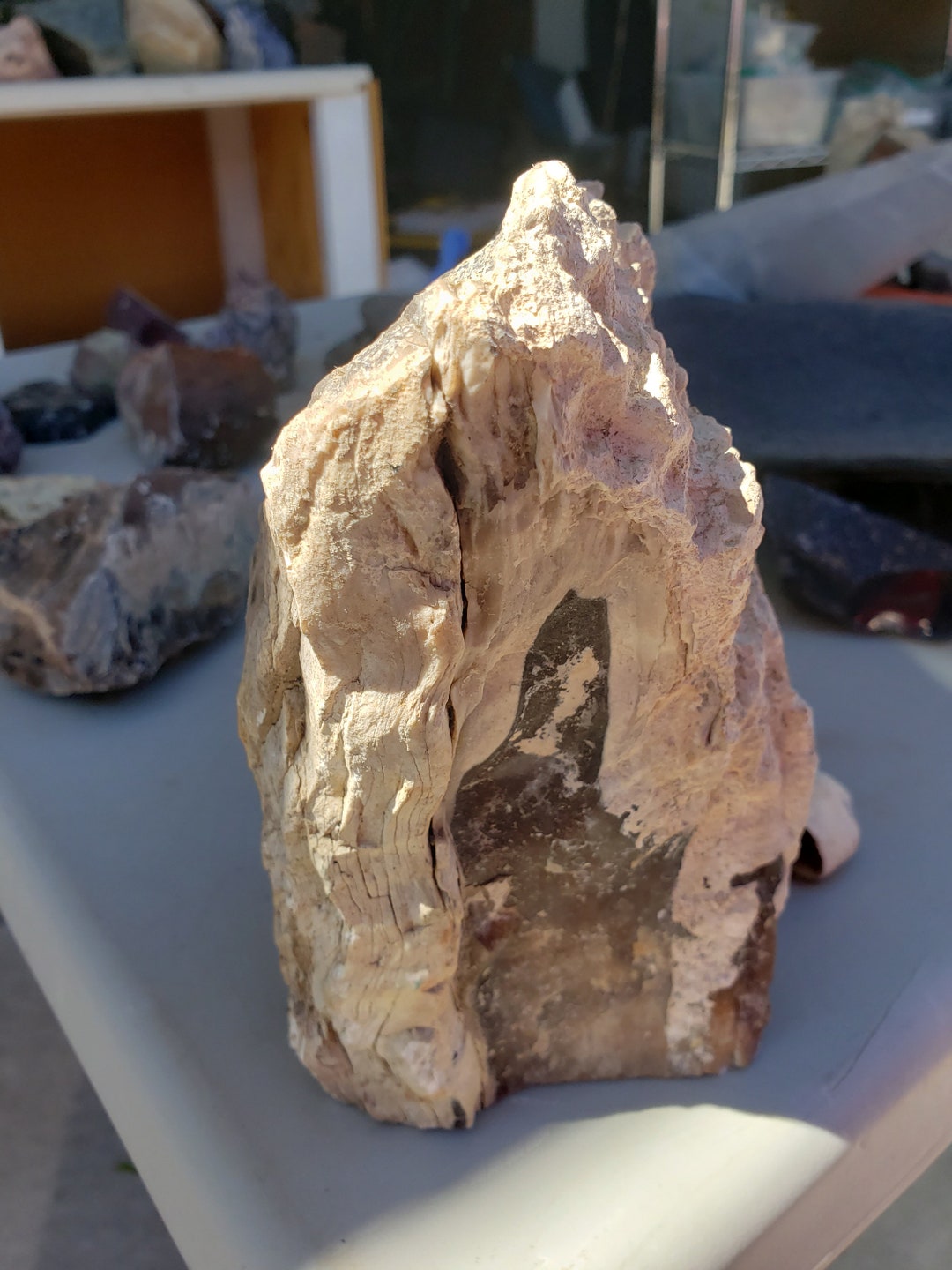 Petrified Wood Rough With Cut Face. PWRCF2C - Etsy