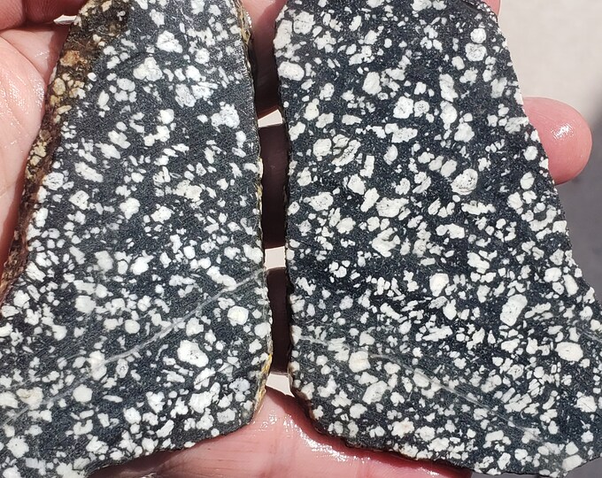 Sierra Snowflake Porphyry Slab SSPS1N - Etsy