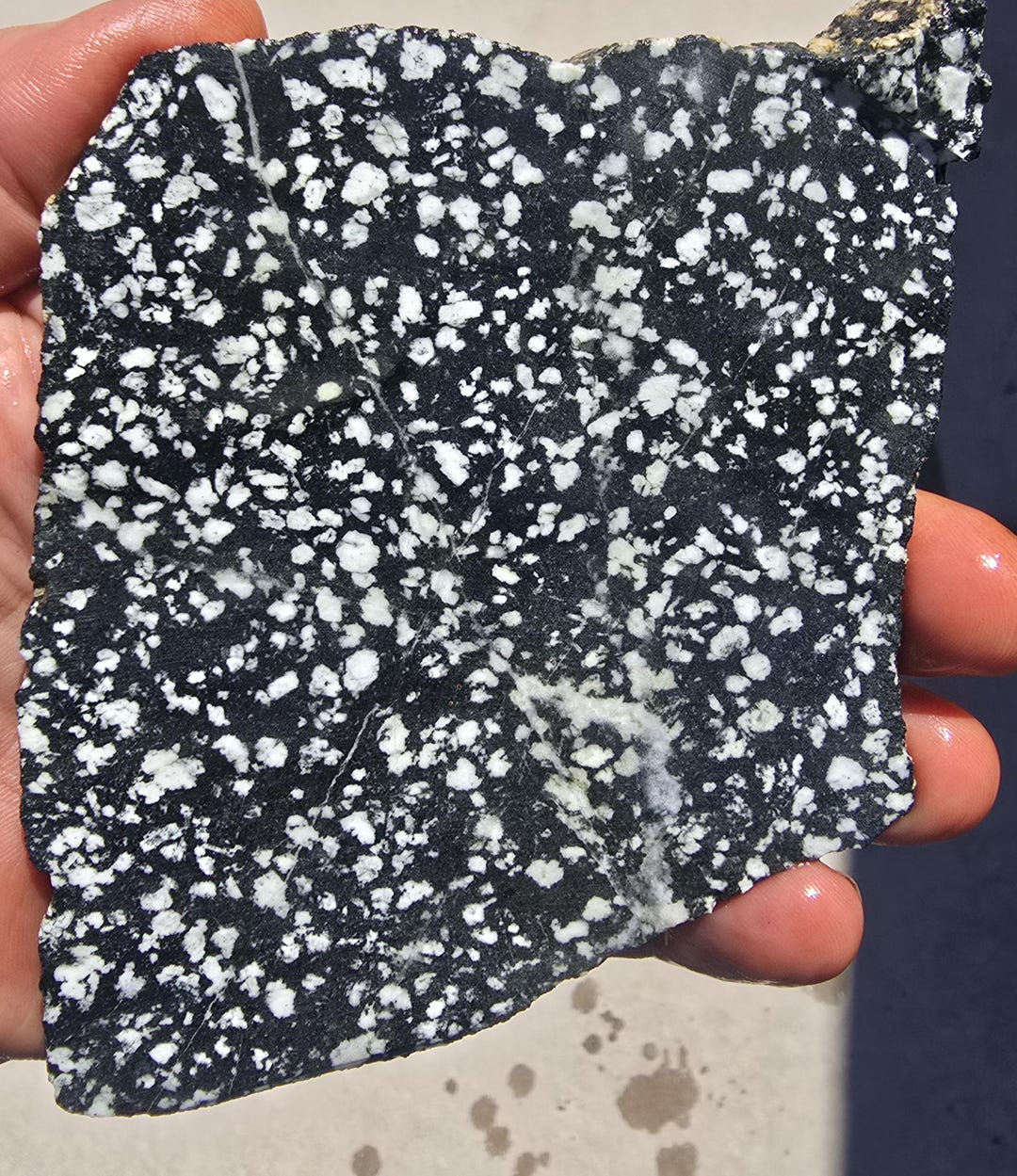 Sierra Snowflake Porphyry Slab SSPS1P - Etsy
